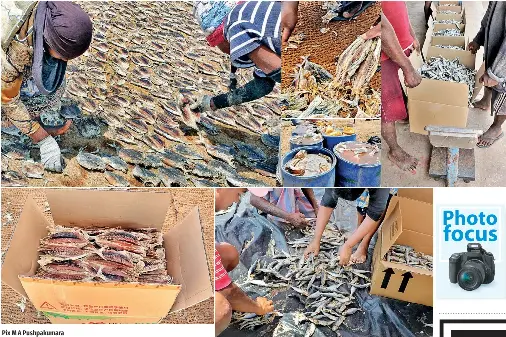 Costly delicacy - PressReader