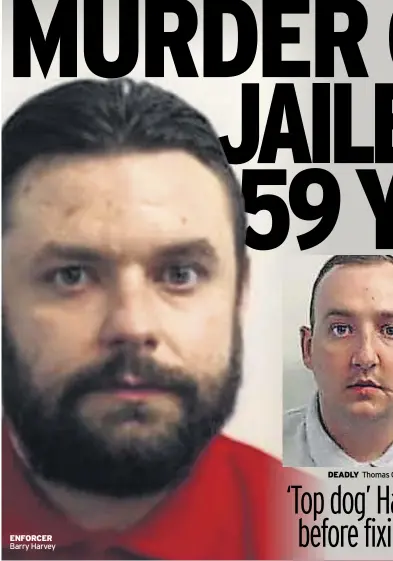 MURDER GANG JAILED FOR 59 YEARS - PressReader