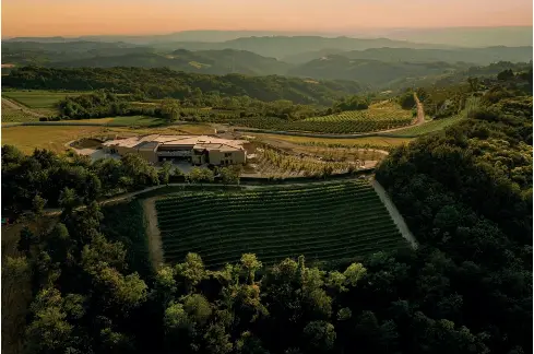 New Gaja white wines: Vibrant, vivid aromas and flavors - PressReader