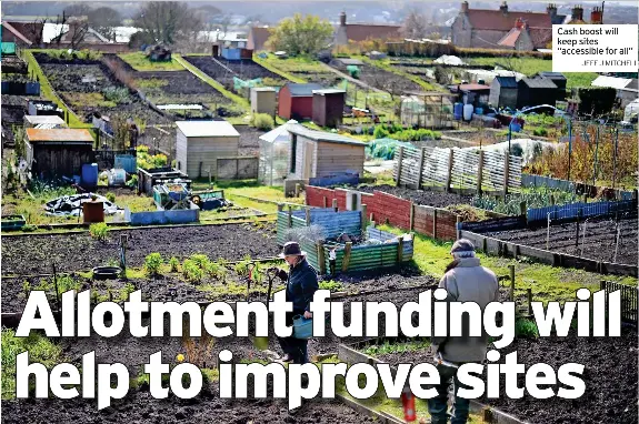 Allotment funding will help to improve sites - PressReader