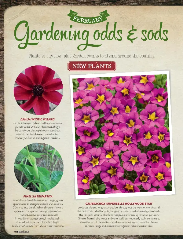 Gardening odds & sods - PressReader