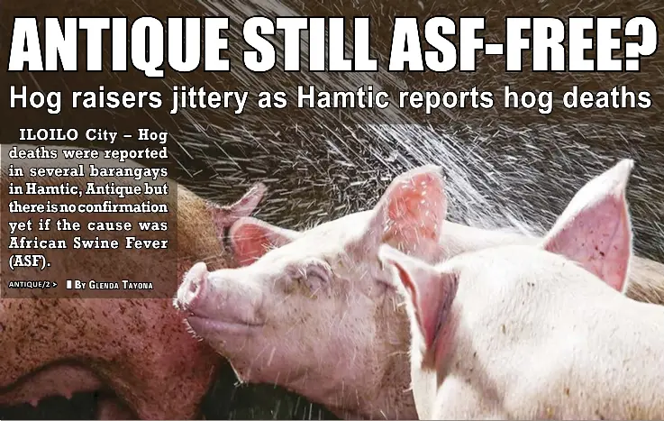 ANTIQUE STILL ASF-FREE? - PressReader