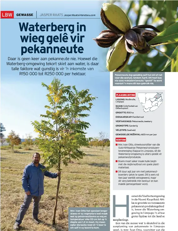 Pekanneute: Is die Waterberg die volgende groeipunt? - PressReader