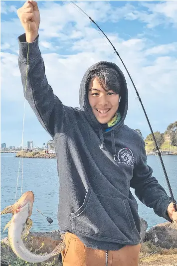 Whiting’s still biting - PressReader