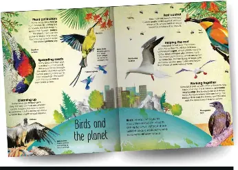 The Extraordin­ary World of Birds - PressReader