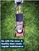 The green, green grass of home... - PressReader