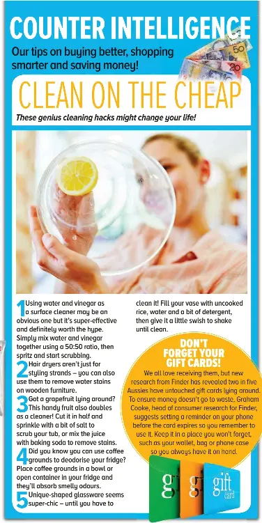 CLEAN ON THE CHEAP - PressReader