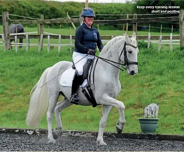 Lessons lea ned - PressReader