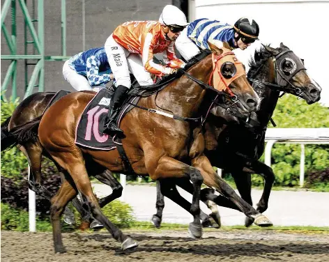 MAIA GETS RIGHT INTO THE SPIRIT - PressReader