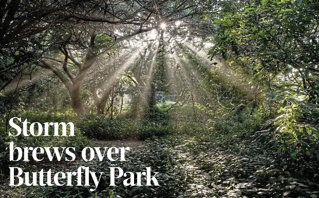 Storm brews over Butterfly Park - PressReader