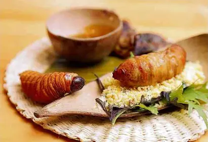 El delicioso encanto de los insectos en la mesa - PressReader