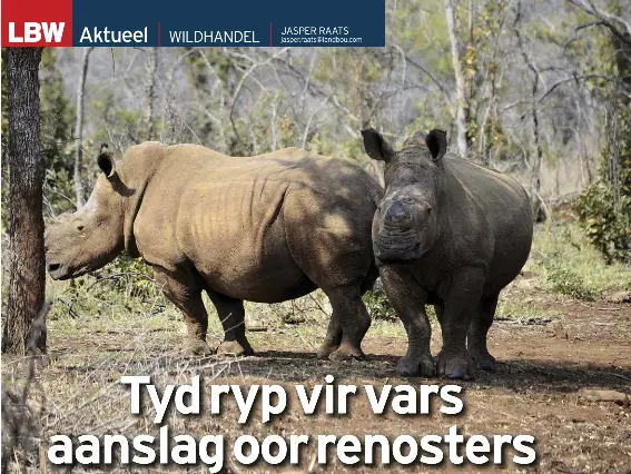 Tyd ryp vir vars aanslag oor renosters - PressReader