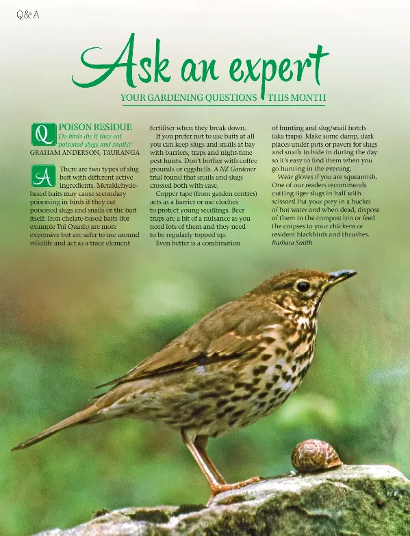 Ask our experts - PressReader