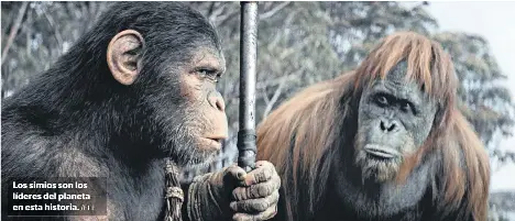 ‘El Planeta de los Simios’ regresa afilado - PressReader