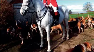 On the hunt - PressReader