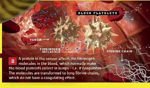 BLOOD AGENTS MAKE BLOOD GUSH - PressReader