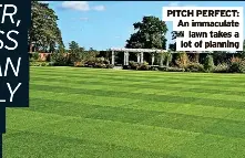 THE GREENER, GREEN GRASS OF HOME – AN ECO-FRIENDLY ROUTE TO A LUSH LAWN - PressReader