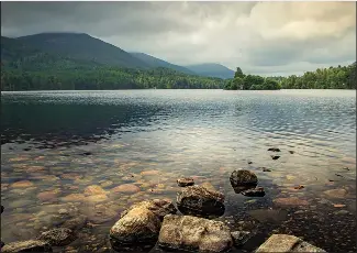 The walk Top five Scottish spring walks - PressReader