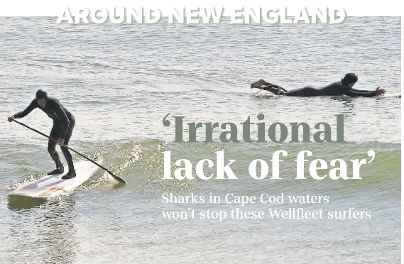 ‘Irrational lack of fear’ - PressReader