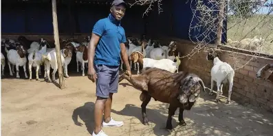 Michview Enterprise­s finds opportunit­y in adversity through goat farming - PressReader