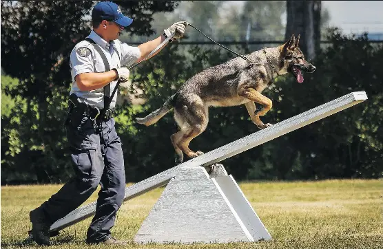 RCMP dogs, handlers form true bonds - PressReader