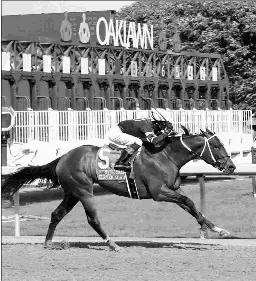 Clever Again set to step up off triple-digit speed figure - PressReader