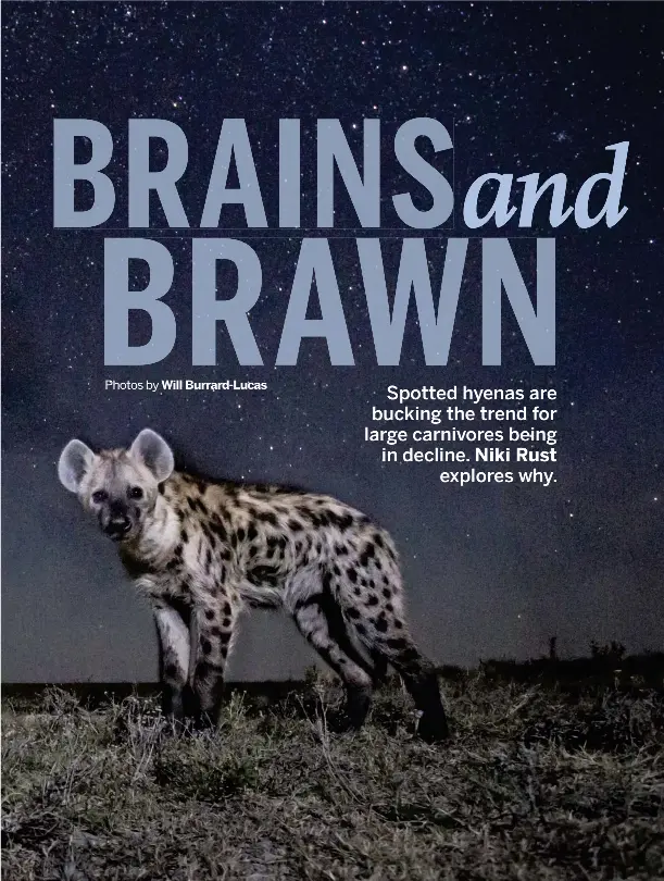 NIKI RUST - PressReader