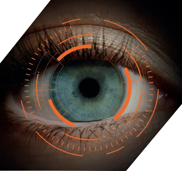 Experience the advantage of outstandin­g performanc­e. - PressReader