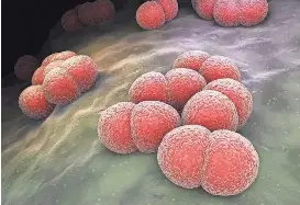 CDC issues warning about deadly bacterial infection - PressReader