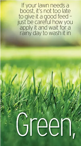 Green, green grass - PressReader