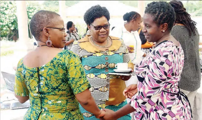 Celebratin­g Zimbabwe’s female war heroes - PressReader