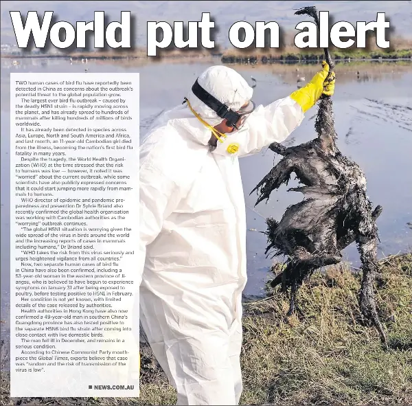 World put on alert - PressReader