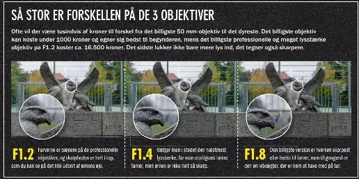SÅ STOR ER FORSKELLEN PÅ DE 3 OBJEKTIVER - PressReader