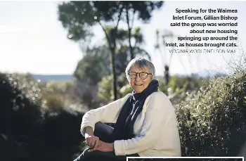 'Shoot, shovel and shut up': Plea for action on feral cats - PressReader