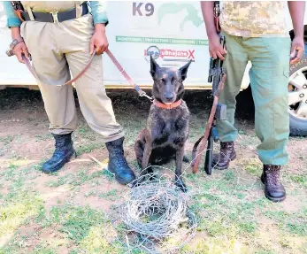 Global conservati­on agencies join forces - PressReader