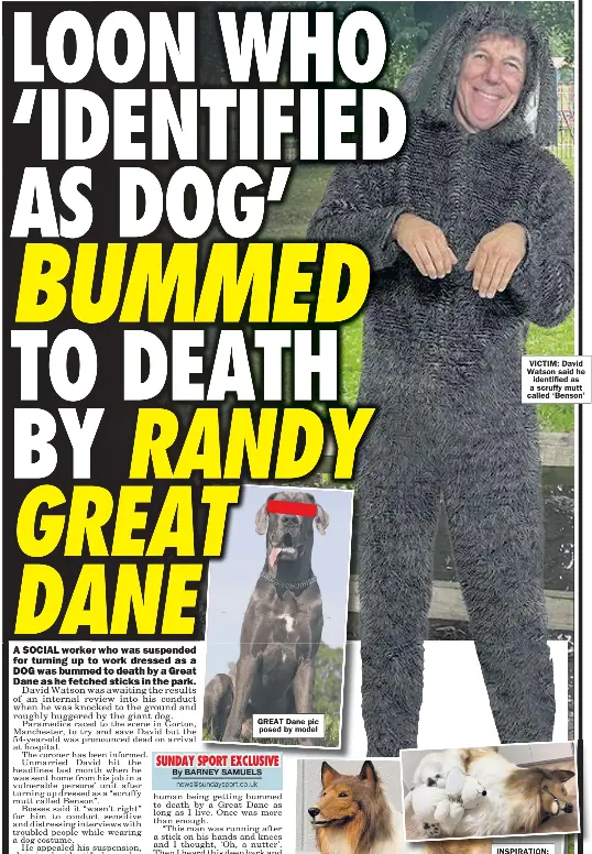 LOON WHO ‘IDENTIFIED AS DOG’ BUMMED TO DEATH BY RANDY GREAT DANE ...