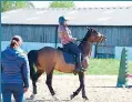 HOW TO STEADY A SPEEDY HORSE - PressReader