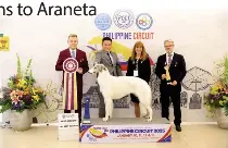 Asia’s premiere dog show returns to Araneta - PressReader
