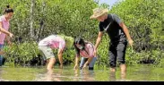 Wrong mangroves, groups tell local gov’t - PressReader