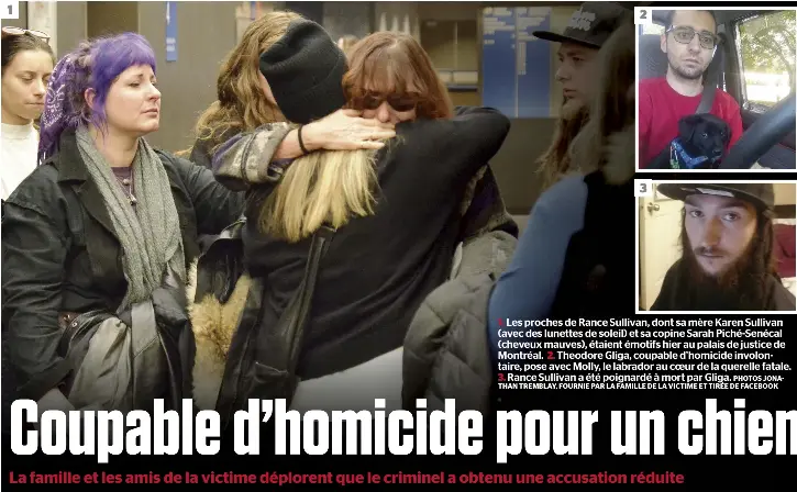 Coupable d’homicide pour un chien - PressReader