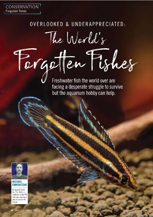 THE WORLD’S FORGOTTEN FISHES - PressReader