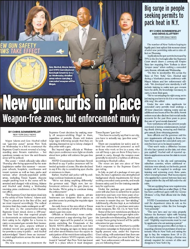 New gun curbs in place - PressReader