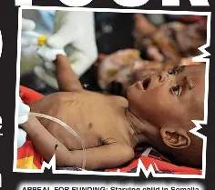 QUADRUPLE the Irish population facing starvation - PressReader