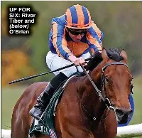 TIBER WILL RUN CLEAR - PressReader