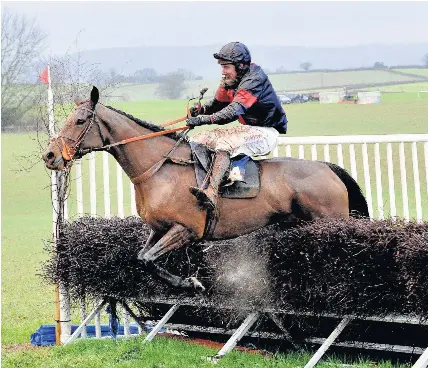 Trainer in hospital as son steers mare to his 100th win - PressReader