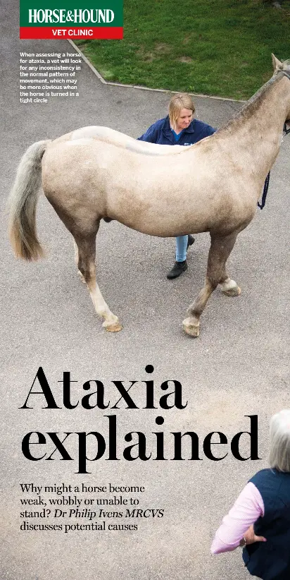 Ataxia explained Why horses become weak, wobbly and unable to stand ...