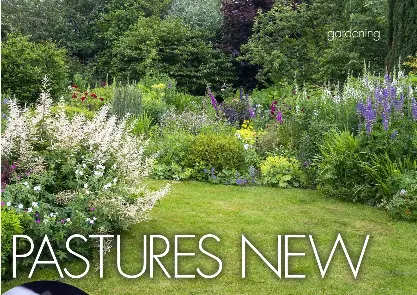 PASTURES NEW - PressReader