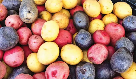 Spud-tastic - PressReader