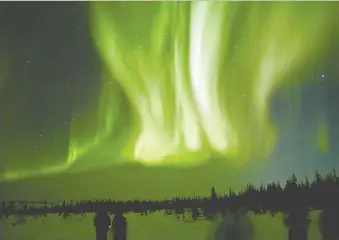 Company launches northern lights tour flying out of city - PressReader