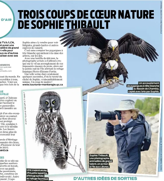 TROIS COUPS DE COEUR NATURE DE SOPHIE THIBAULT - PressReader